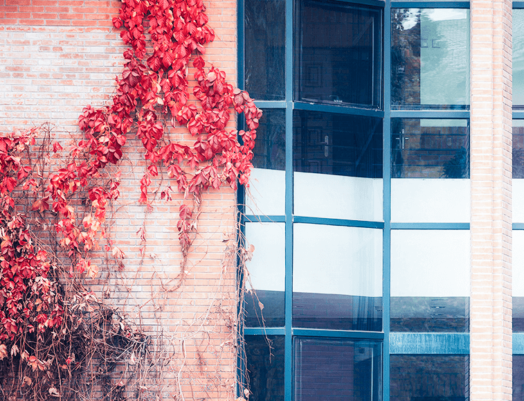 学术就业-清华大学经济管理学院博士